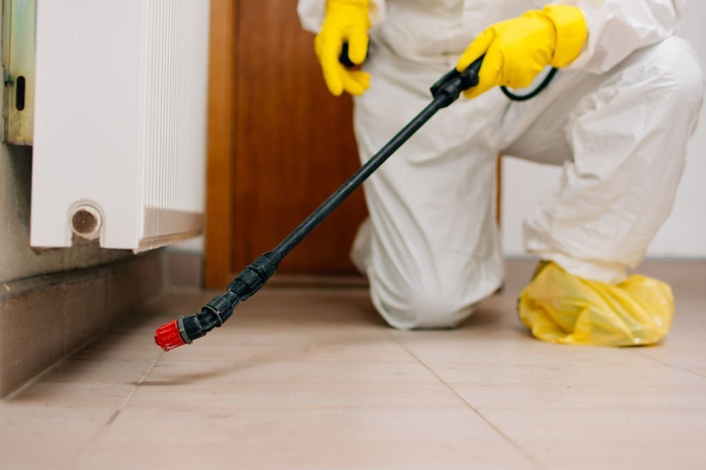 Top 6 Things to Do When Planning For a Pest Control at Your Place | House Of Eminent
